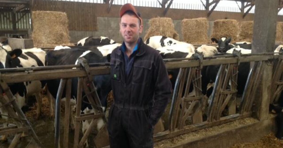 AlphaVision - Adrien D - IMV Technology Global