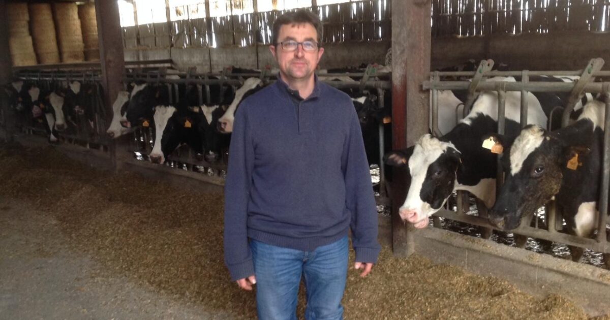 AlphaVision - Yannick H - IMV Technologies Global