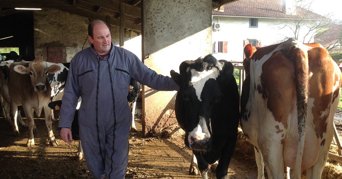 AlphaVision - Jérôme B - IMV Technology Global