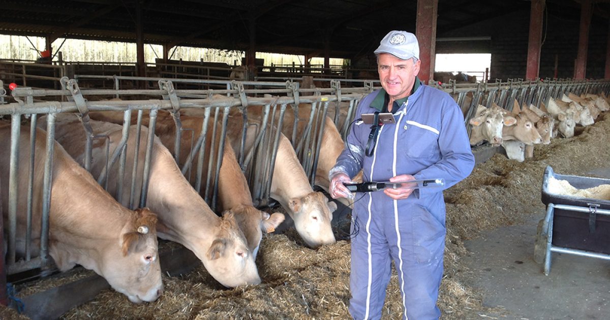 AlphaVision - Yves Lamarque - IMV Technology Global