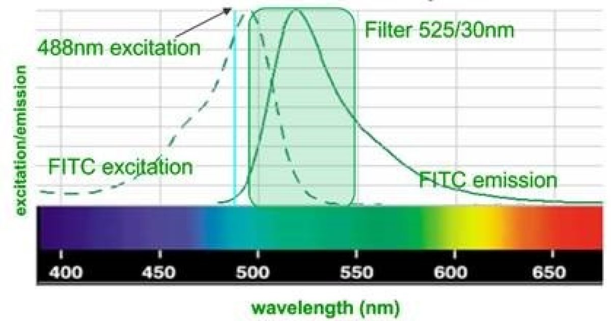 How a flow cytometer works? - IMV Technology Global