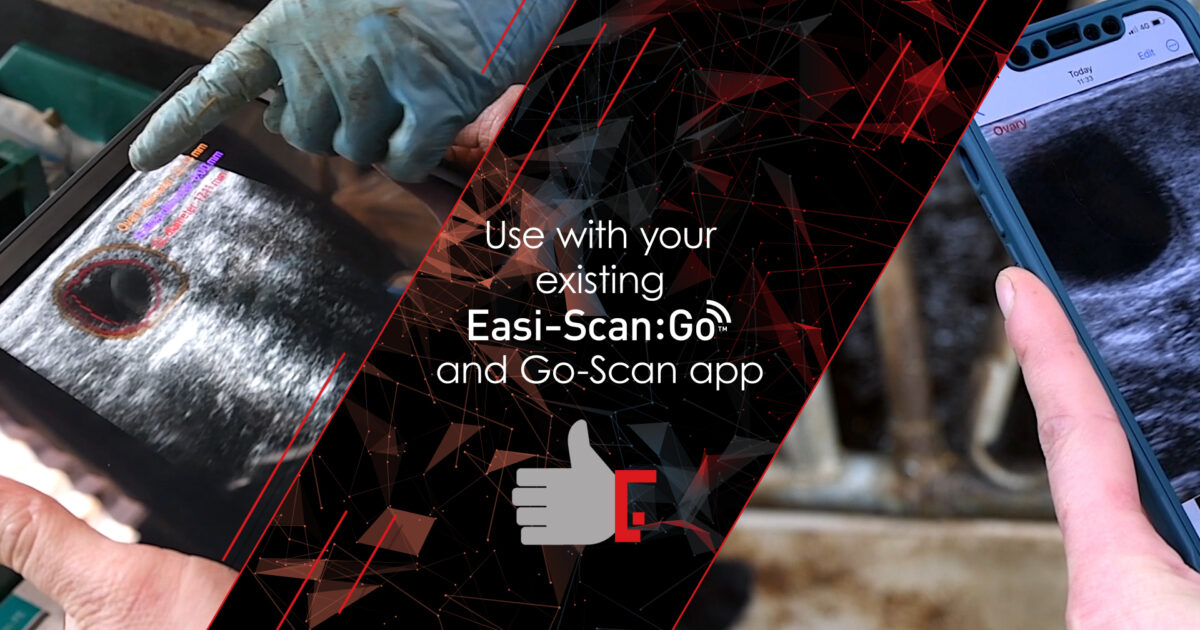 BovIntel - Exclusive to the Easi-Scan:Go - IMV Technology Global