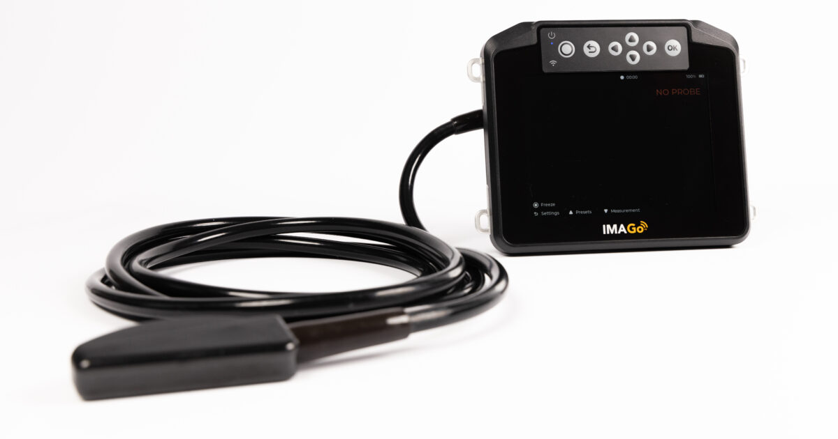 ImaGo Flex Veterinary Ultrasound Scanner - Ultrasound for bovine and ...