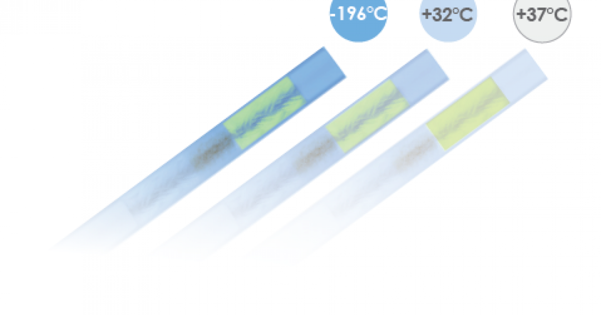 SensiTemp Alpha straw - IMV Technology Global