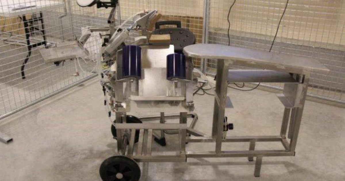 An insemination bench for turkey - IMV Technology Global