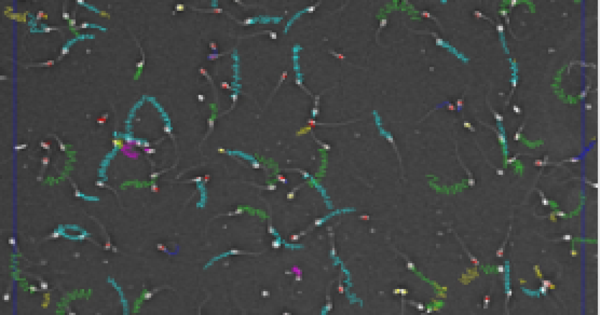 Publications with proven results of INRA 96 efficiency - IMV Technology ...