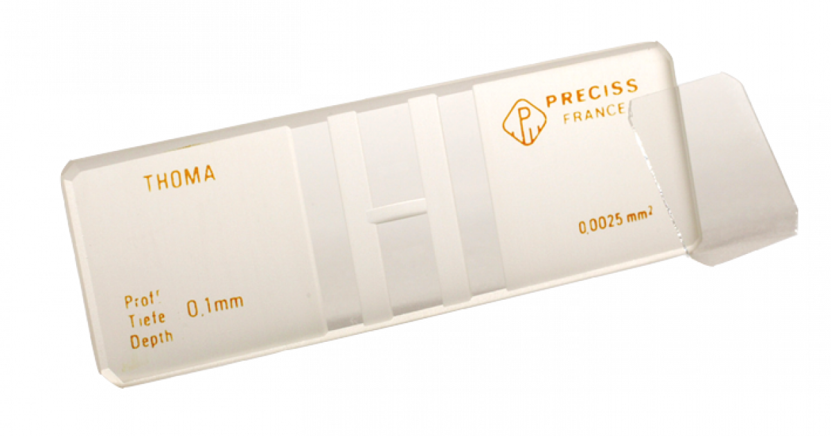 Thoma cell - IMV Technologies Global