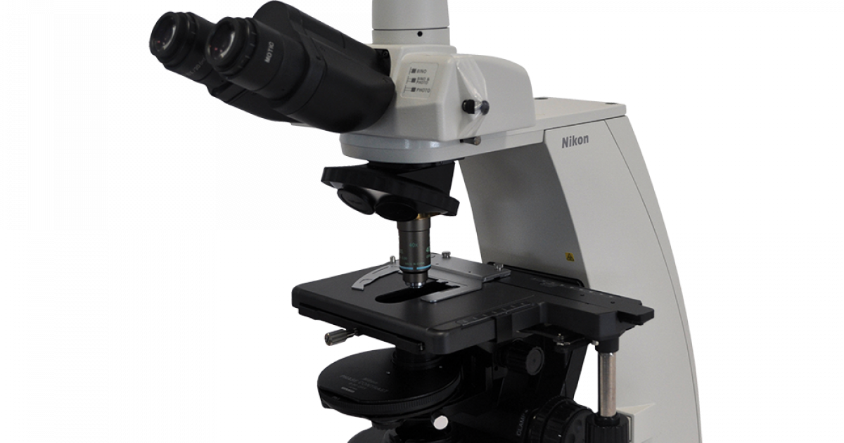 Microscopes - Analyze gross and individual motility - IMV Technologies ...