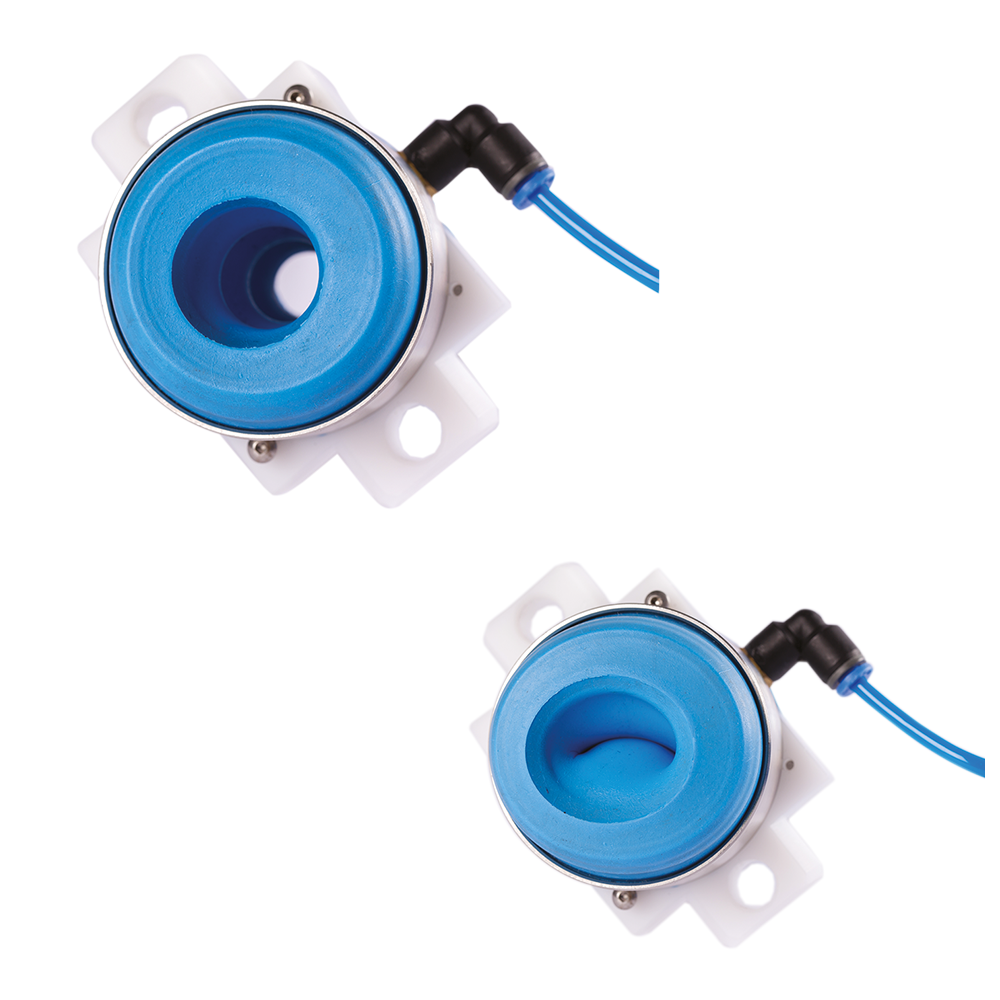 Collectis - IMV Technologies Global